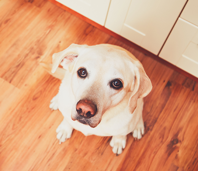 Bell Block Library and Service Centre | Puke Ariki