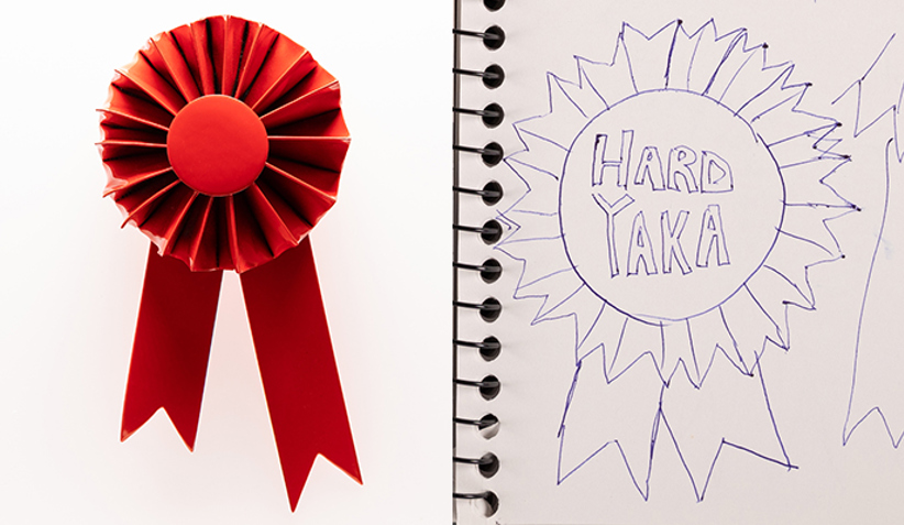 Taranaki Perseverance Brooch | Puke Ariki