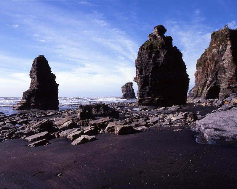 Exhibitions | Puke Ariki